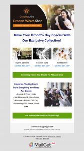 12+ Best Fashion Email Templates For Designer Dresses