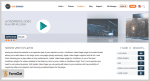 4+ WordPress Video Embed Plugins 2022 (Free and Paid)